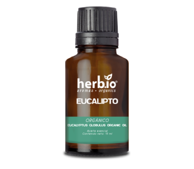 Categorías Productos | Fischel en línea Prueba