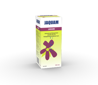 Categorías Productos | Fischel en línea Prueba